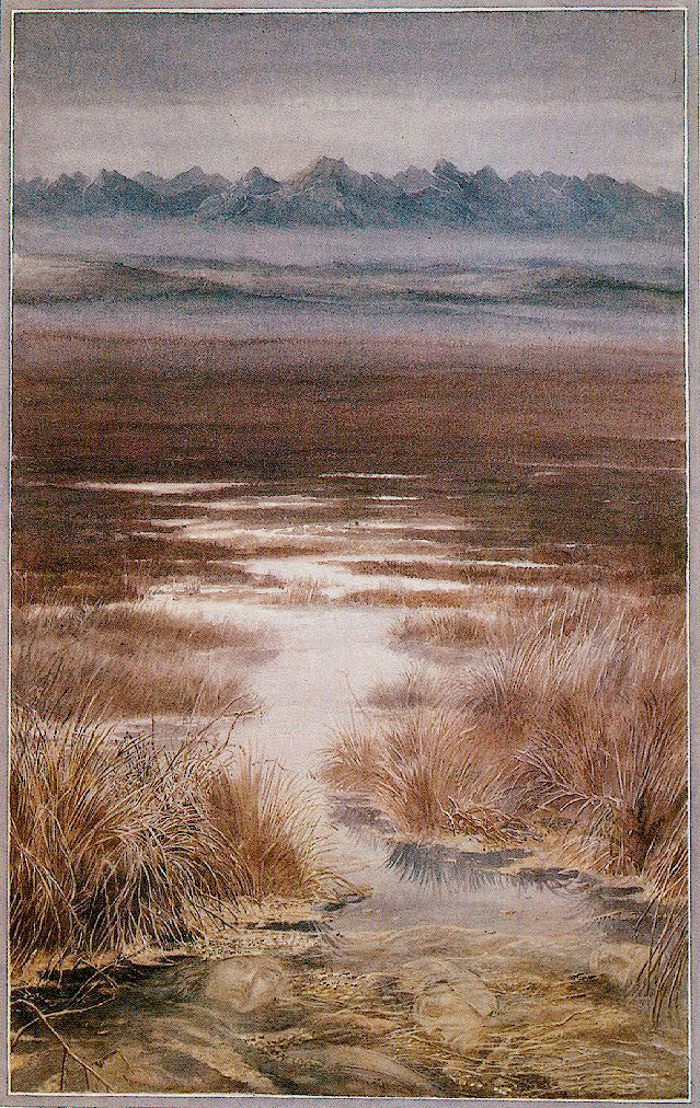 2. A través de las ciénagas